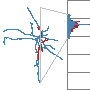 Cell Features :: Allen Brain Atlas: Cell Types