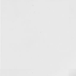 Morphology Experiment :: Allen Brain Atlas: Cell Types