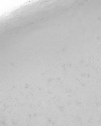 Morphology Experiment :: Allen Brain Atlas: Cell Types